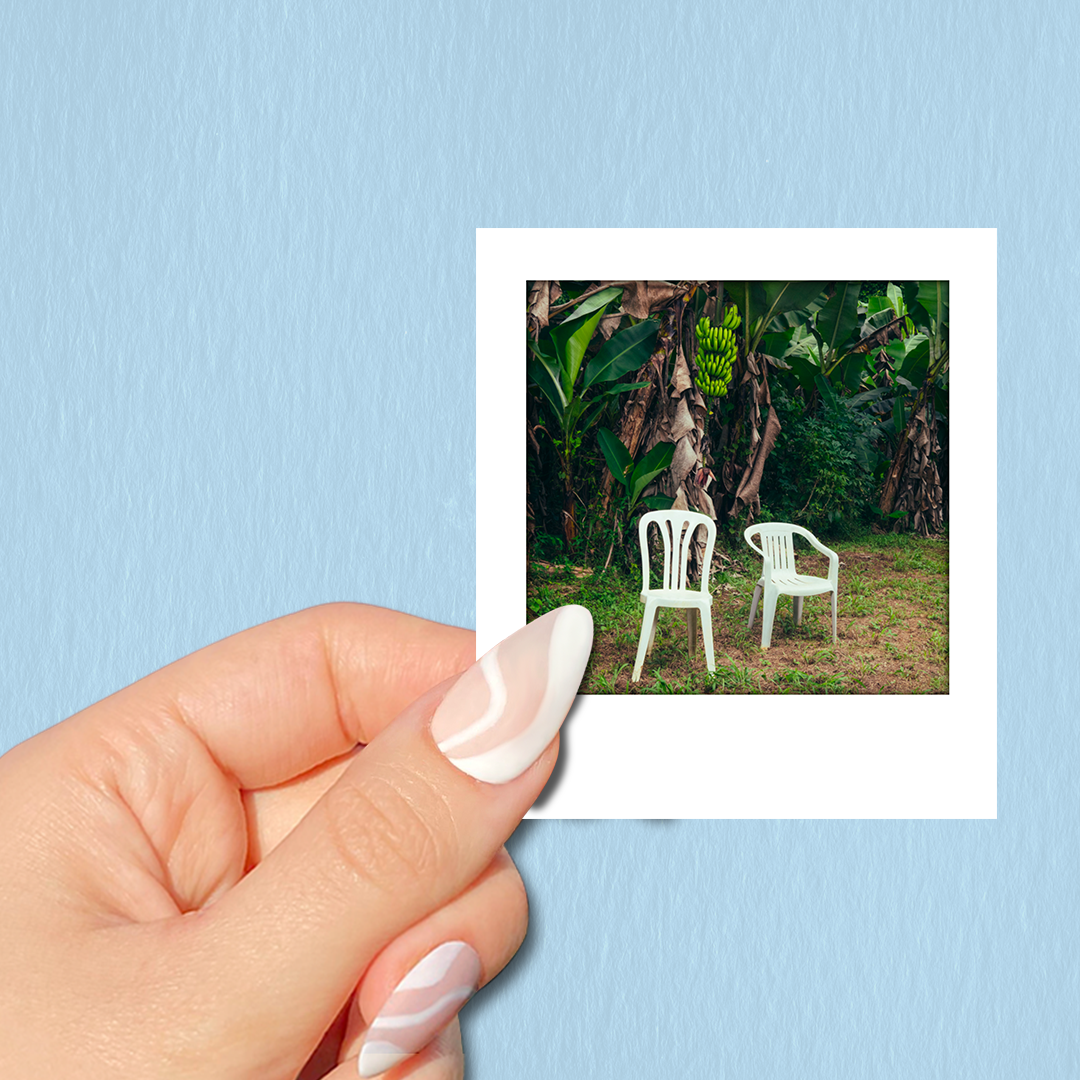 DtMF Album Cover Sticker – Uncapped Creations